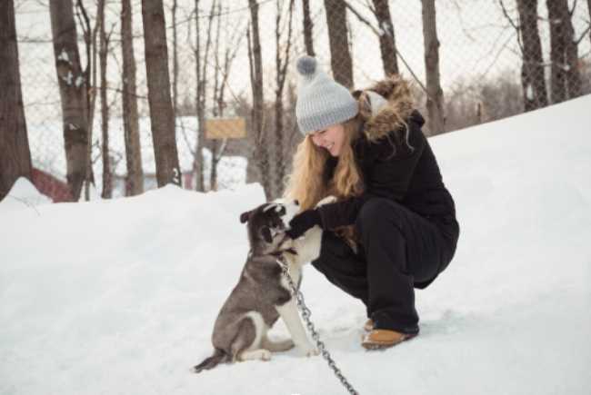 Winter Care Tips for Dogs | Keep Your Pet Warm, Healthy & Happy