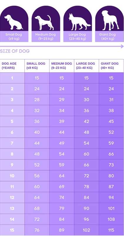 Understanding a Dogs Gestation Period: Signs, Stages & Complete Timeline