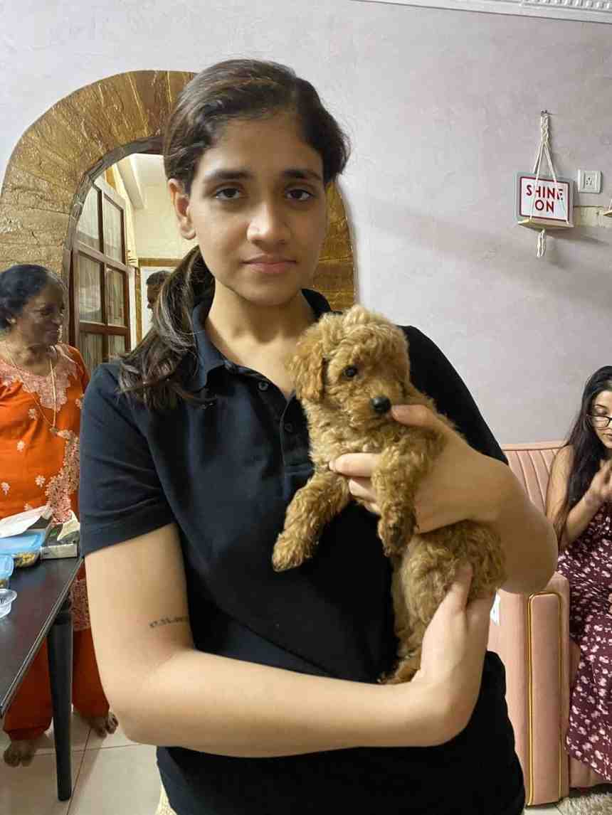 Hamsters For Sale In India At An Affordable Price