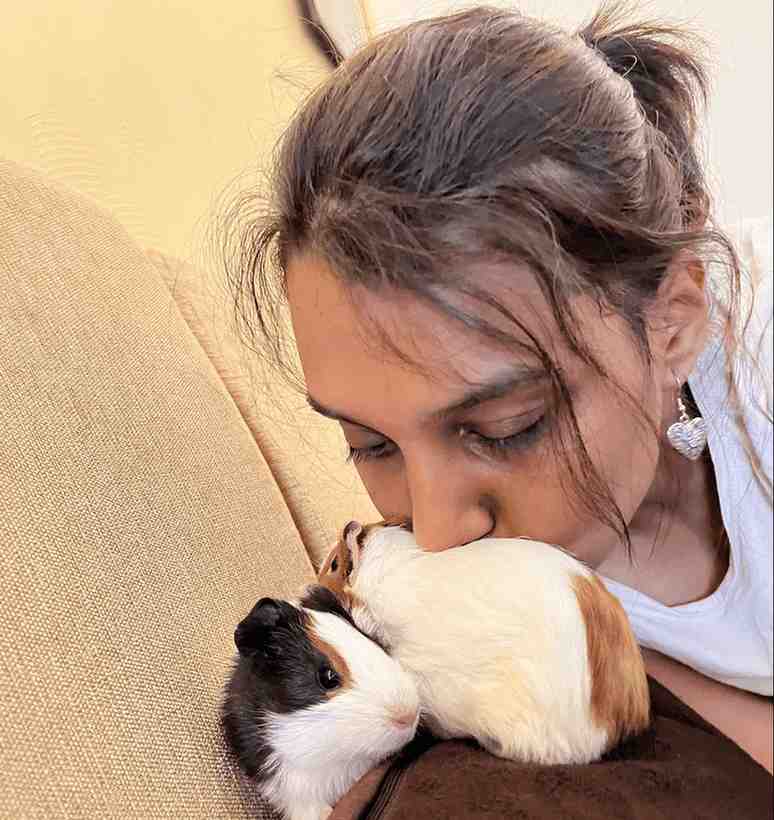 Small Pets For Sale in India – Hamsters, Rabbits & Guinea Pigs
